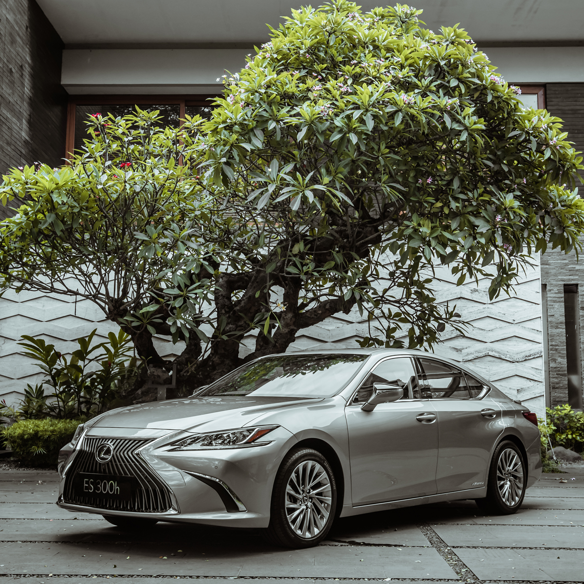 Lexus Indonesia| Luxury & Hybrid Cars | Experience Amazing