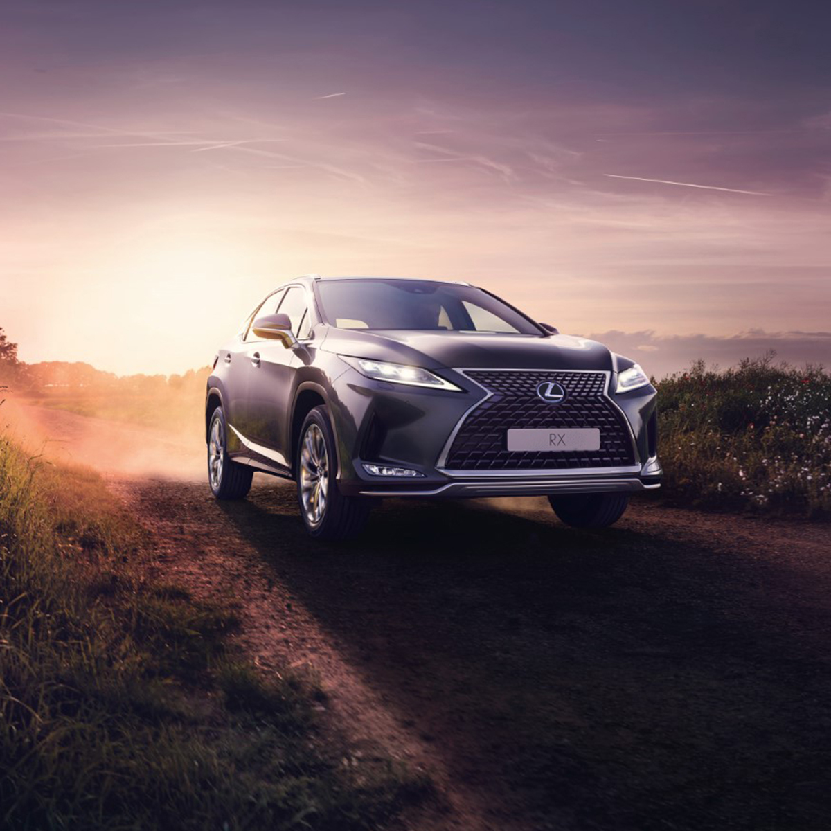 Lexus Indonesia| Luxury & Hybrid Cars | Experience Amazing